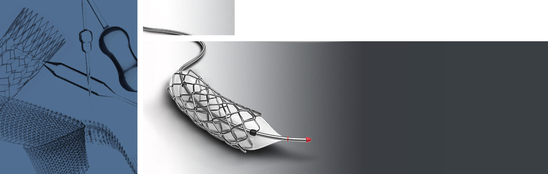 Balloon Catheters - Confluent Medical